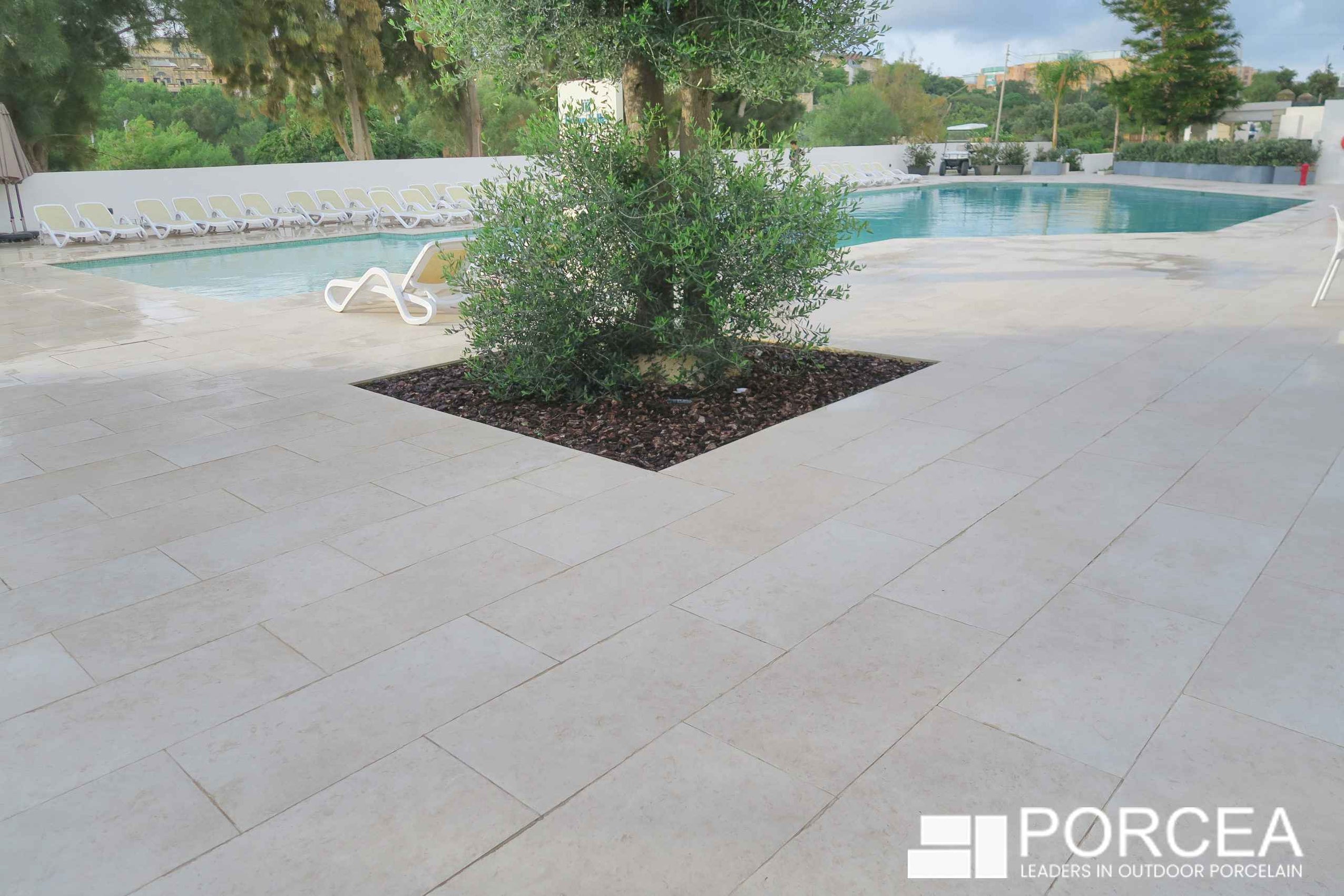 Porcea Stone® Seashell - Cohen and Cohen Natural Stone