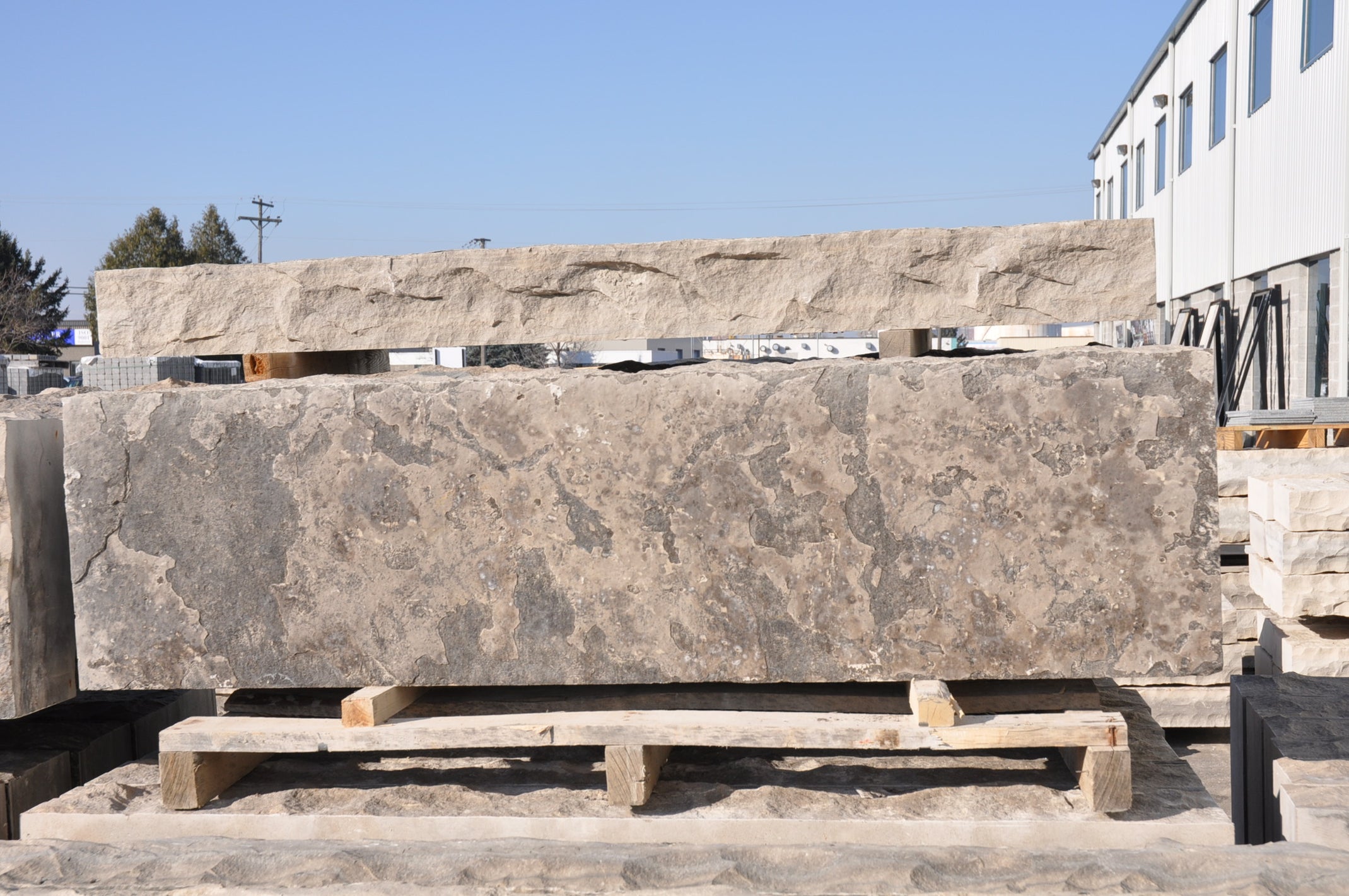 Wiarton Steps - Cohen and Cohen Natural Stone